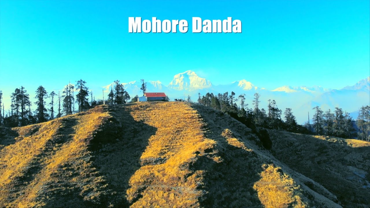 Mohore Danda 3313m जीवन मा एक पटक पुग्नै पर्ने ठाउँ | मोहोरे डाँडा ...