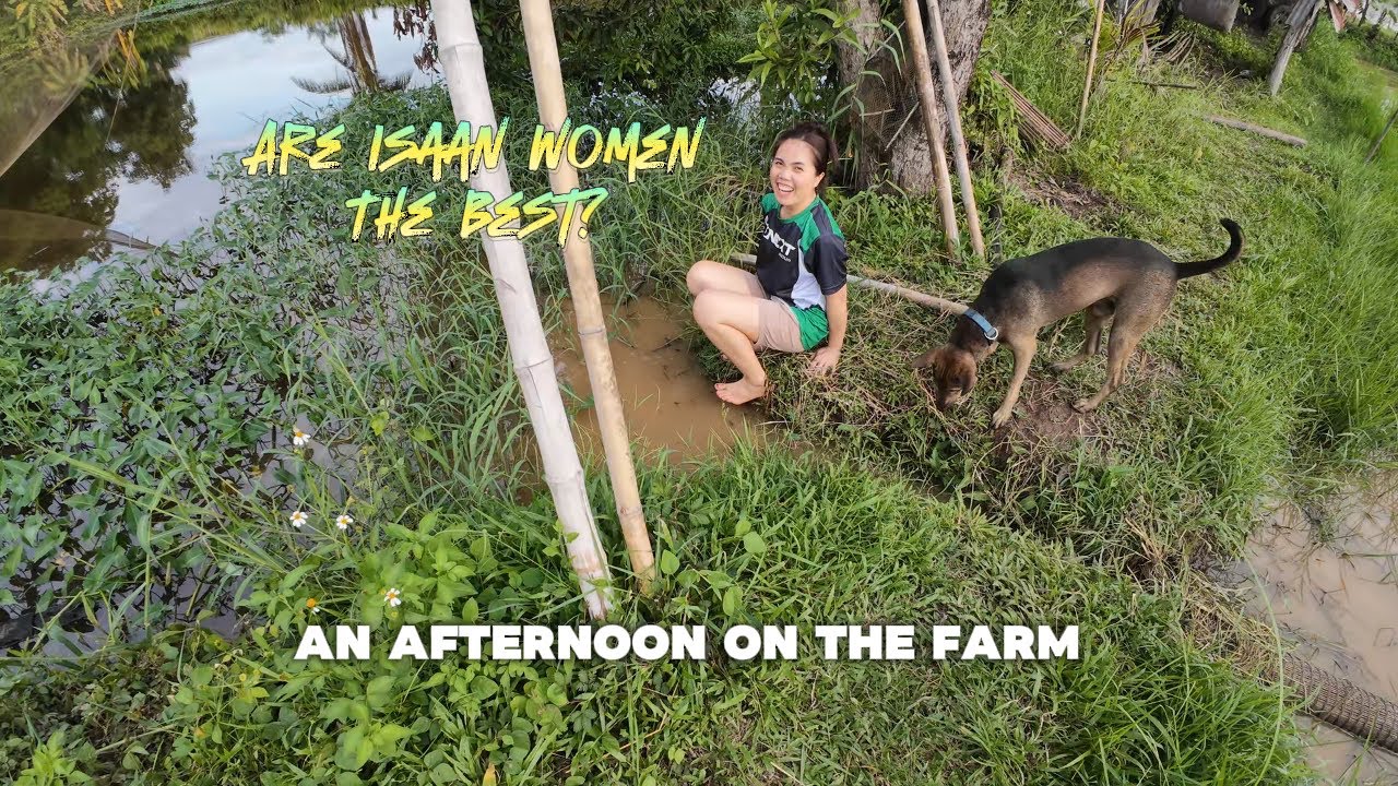 vlog 043 An afternoon on the farm in Isaan. - YouTube