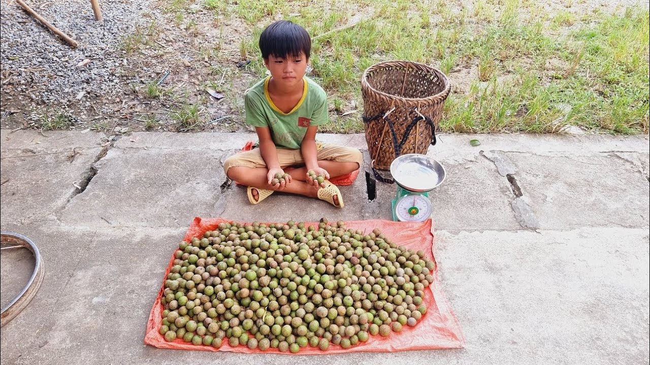 Poor boy - orphan boy picks bad fruits to sell in the market, builds an ...