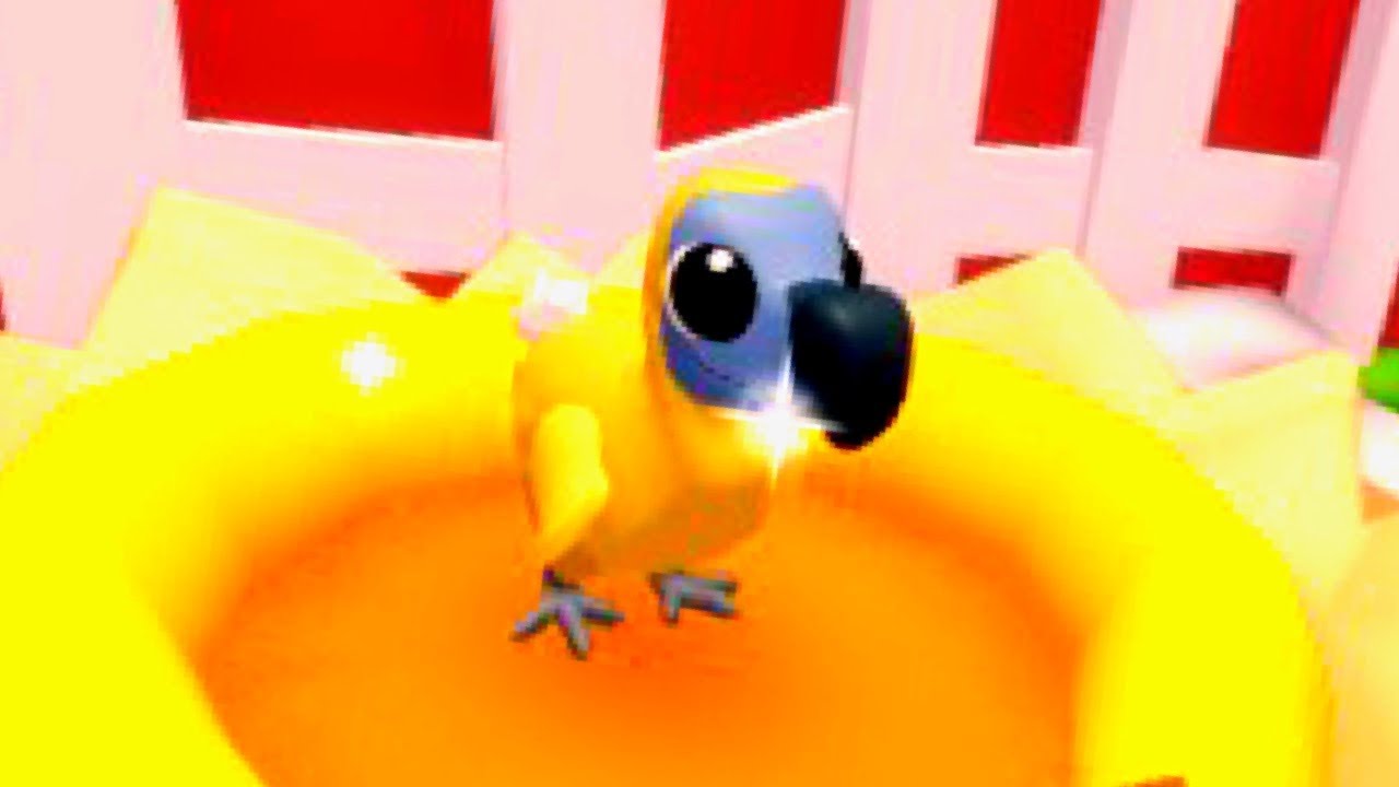 3 Dodo Chick Giveaway - Club Roblox (Claimed!) - YouTube