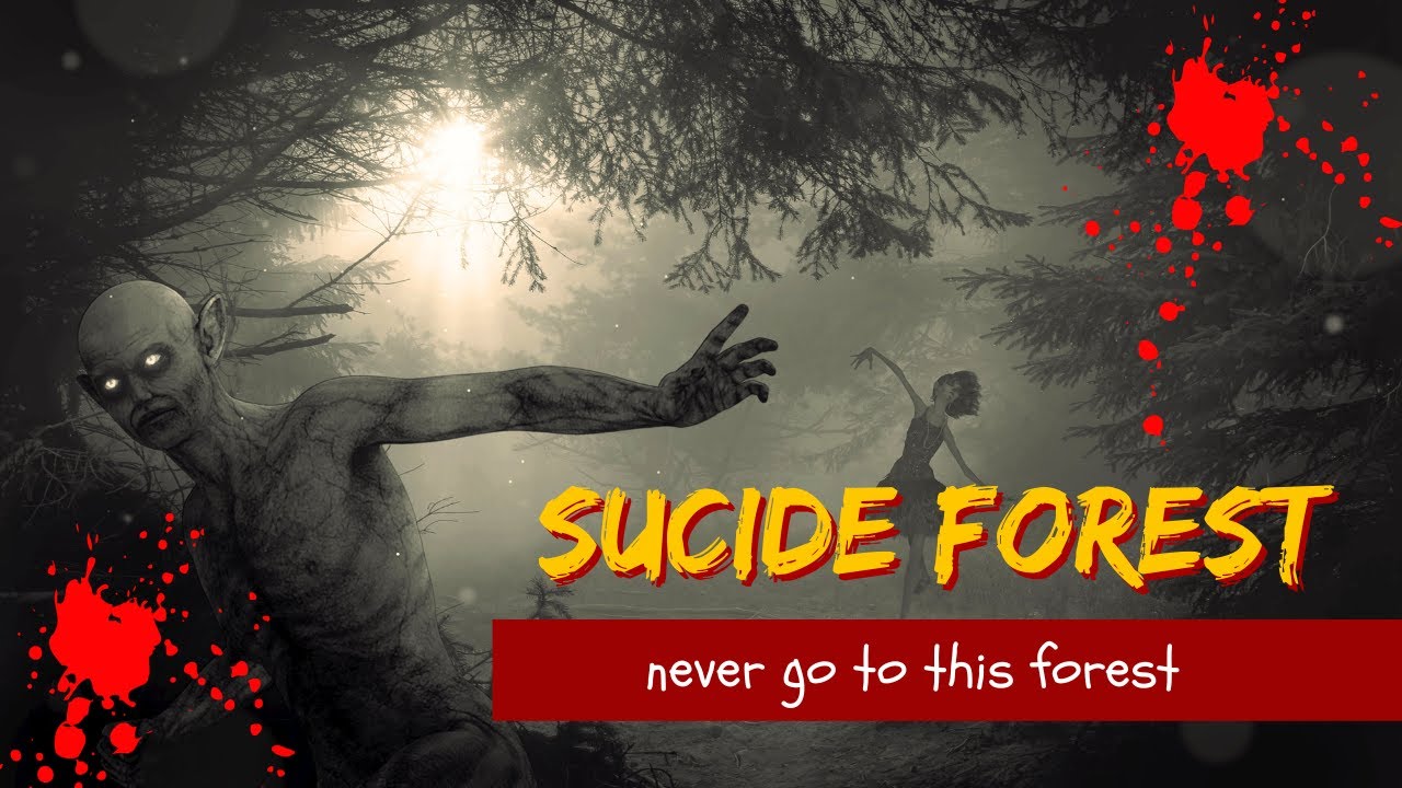 NEVER VISIT THIS FOREST | HORRER PLACE | SUCIDE FOREST | WORLD HAUNTED ...
