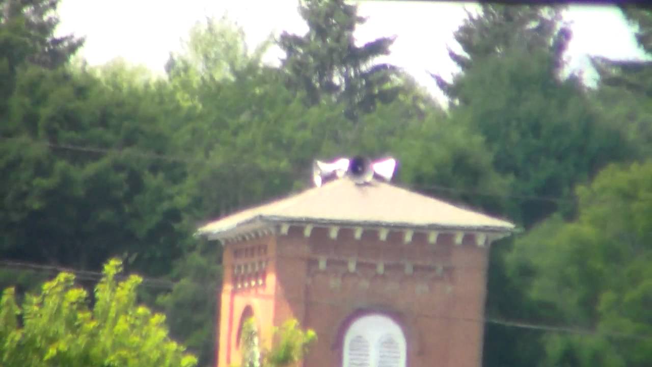 Noon Church Bells #2 - 7/24/15 - YouTube