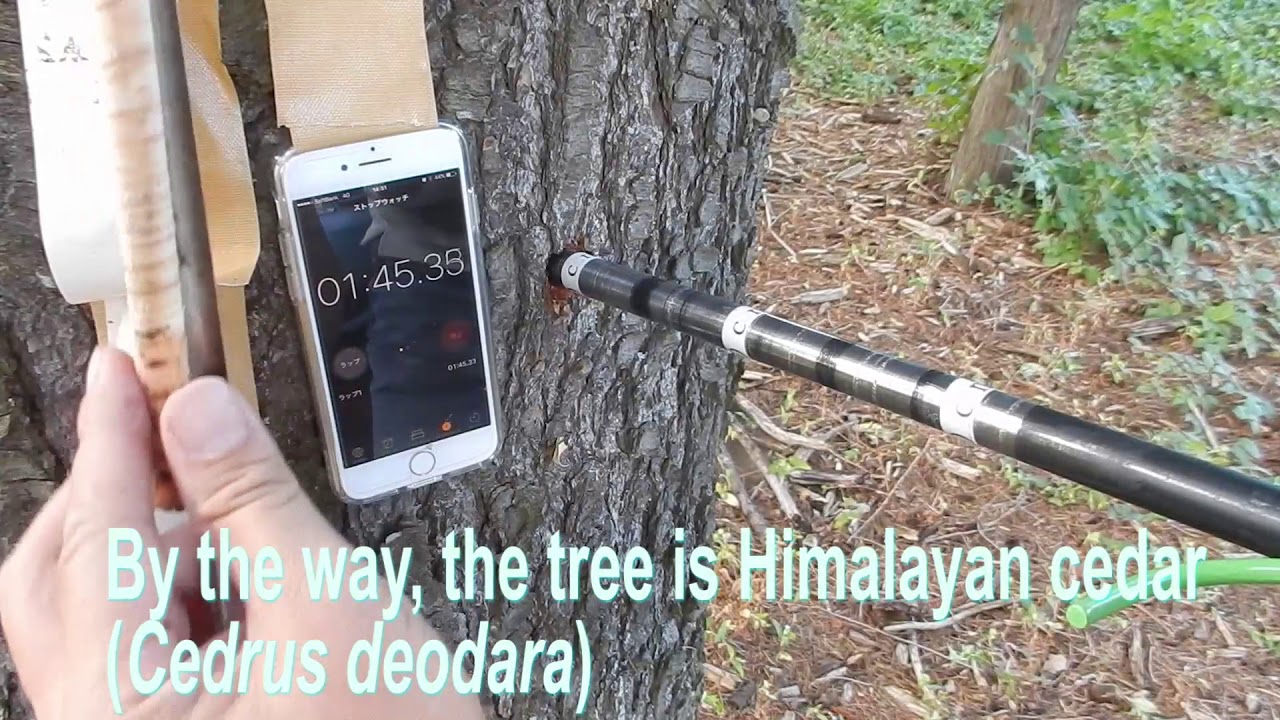 Electric increment core sampling in three minutes (3 min.) without ...