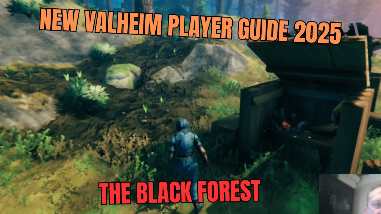 Valheim New Player Guide - The Black Forest - YouTube