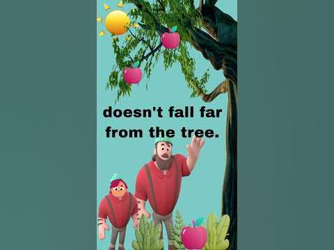 오늘의 영어표현 The apple doesn't fall far from the tree.(설명은 댓글클릭 ...