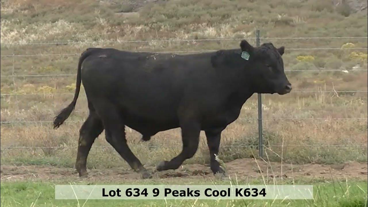 9 Peaks Cool K634 - YouTube