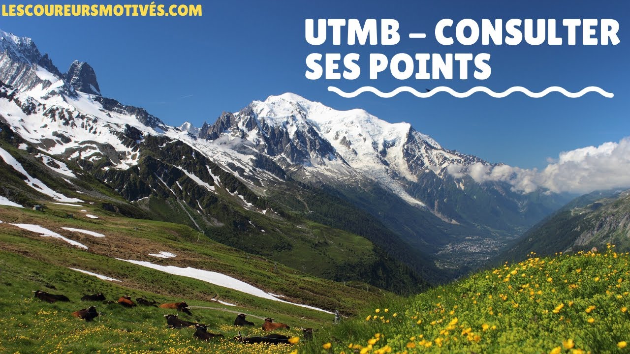 UTMB - Comment consulter vos points, ceux de vos amis et des coureurs d ...