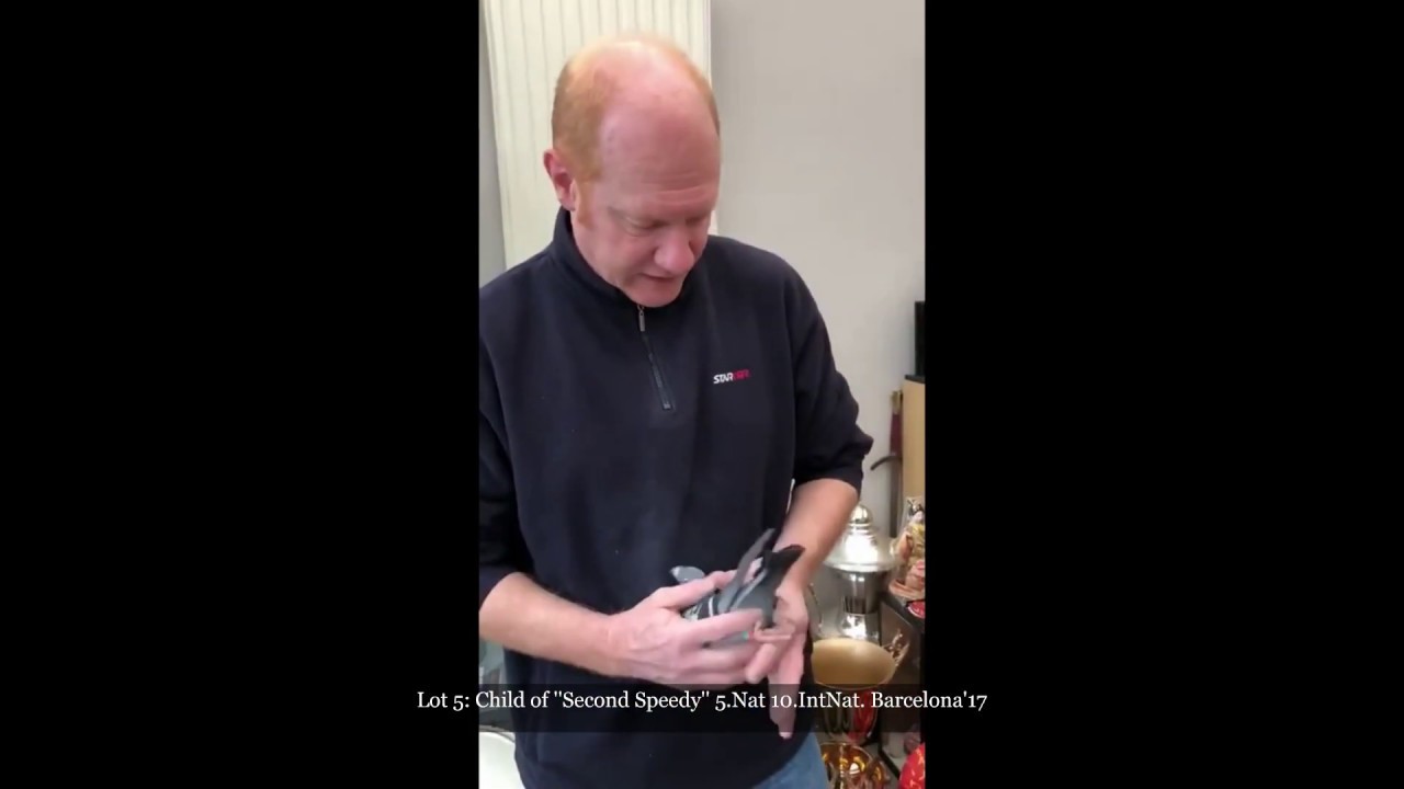 Mr Hugo Kipp reviews our Auction birds with Herbots December 2018 - YouTube