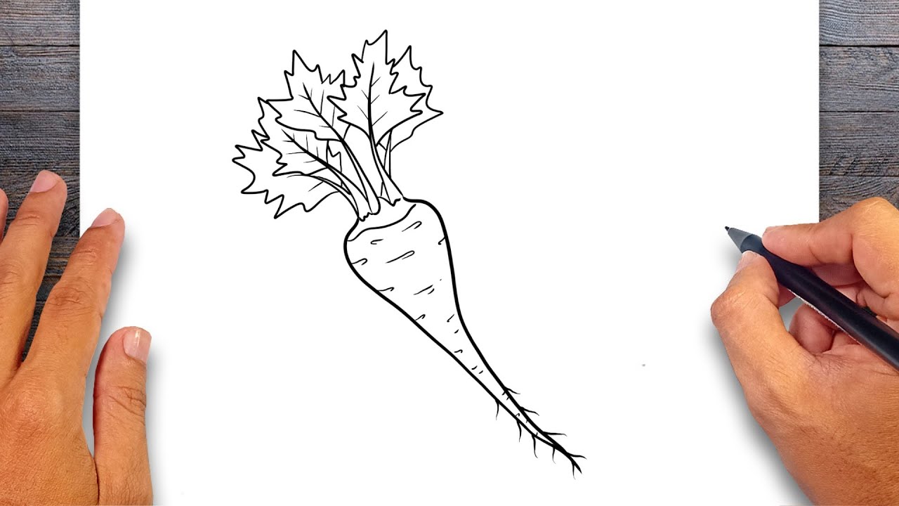 How to draw Parsnip - YouTube