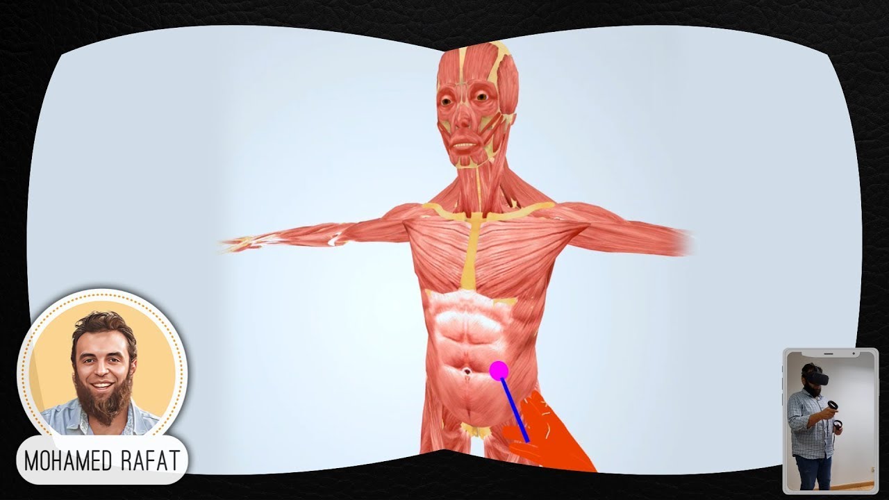 Explaining internal parts of the human body - Mohamed Rafat - YouTube