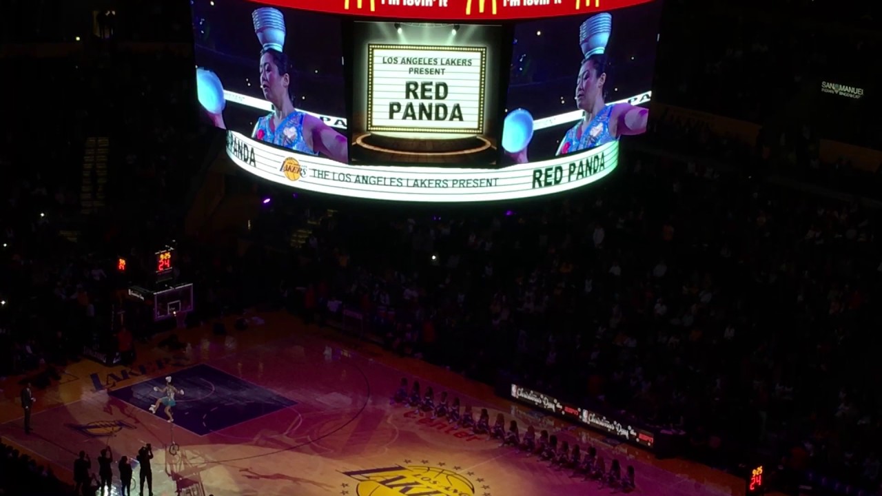 Red Panda Bowl Toss at Lakers vs Clippers Christmas Game - Staples ...