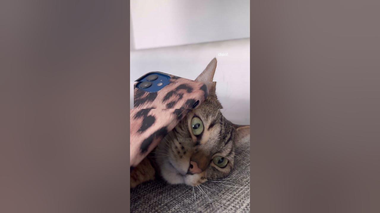 Работа с дизайнером экономит ваши деньги Diskill интерьердизайн дизайнинтерьера ремонт Youtube