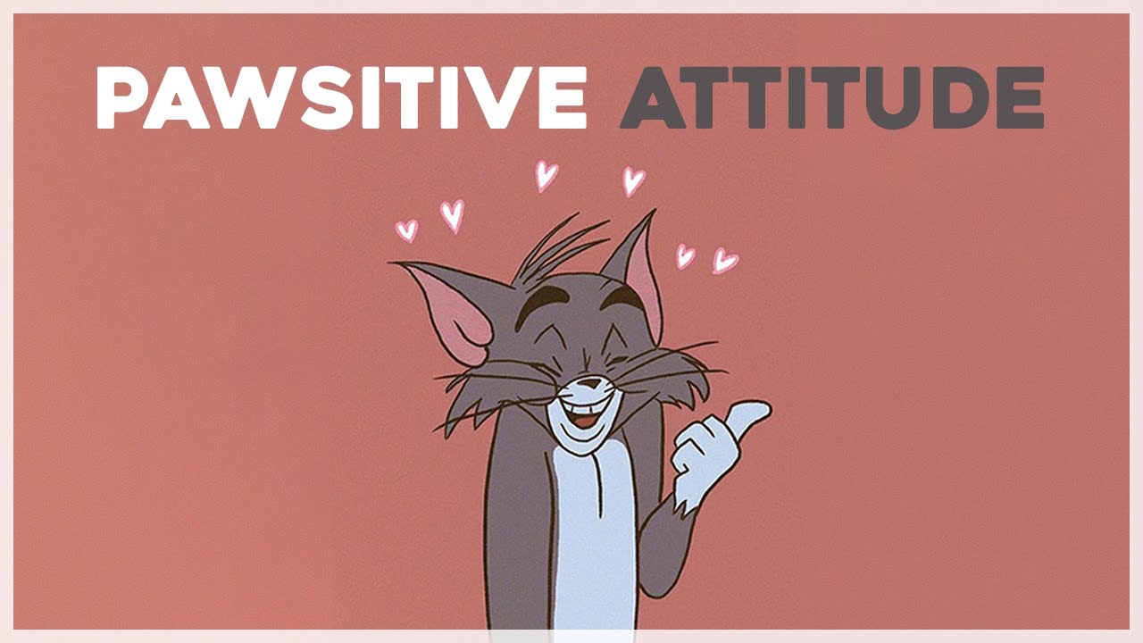 Life Lessons from Tom | Chasing Jerry with Giggles: Motivational Speech ...