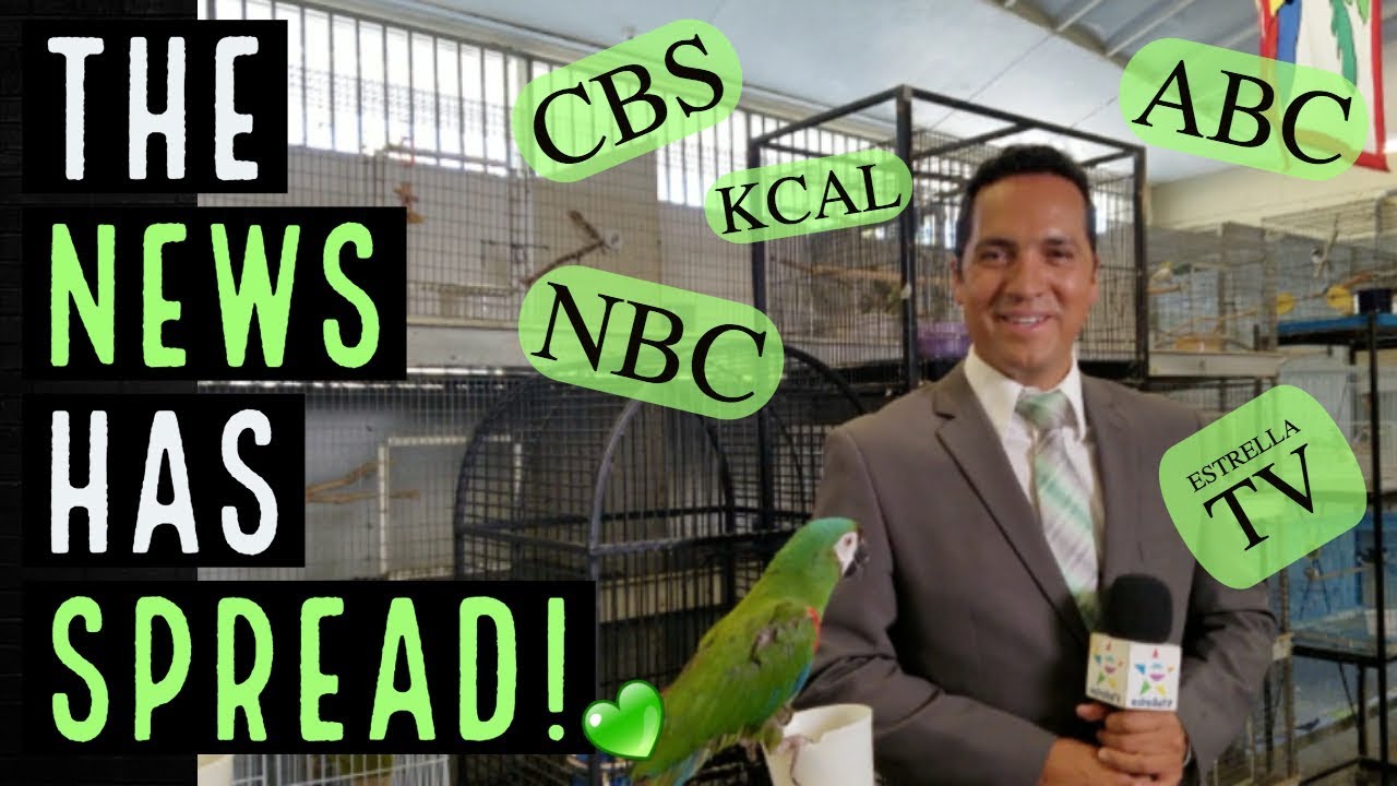 I Gave The Police Department Bird Robber Video, The News Is Everywhere ...