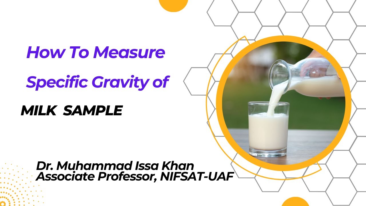 How to Measure Specific Gravity of Milk Samples? | Dr. M. Issa Khan ...