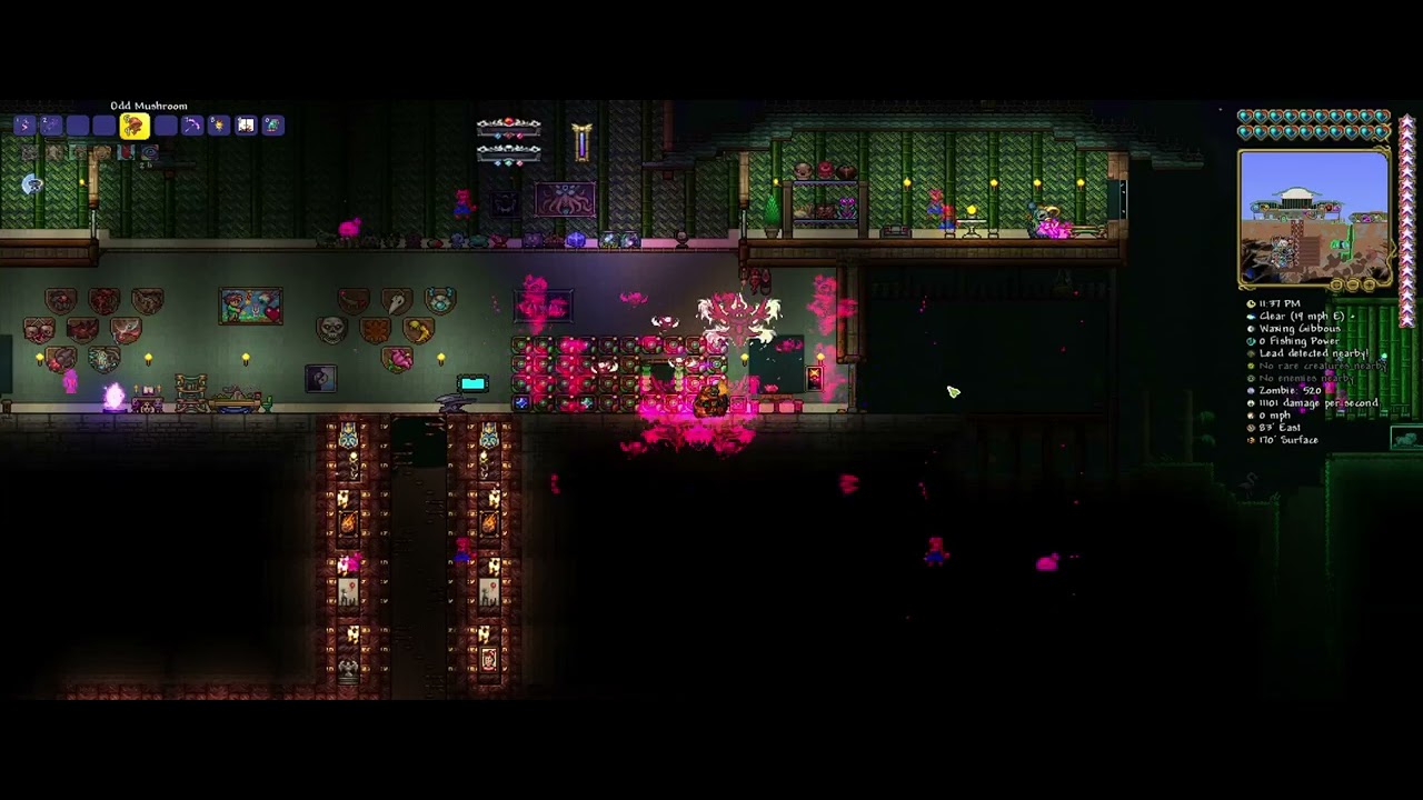 Calamity Shrooms - YouTube