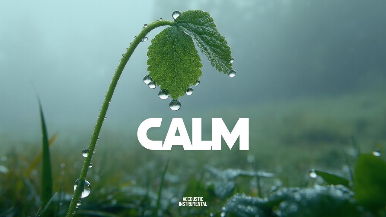 Emotional Guitar Music for Deep Focus, Stress Relief & Calm Study Vibes ...