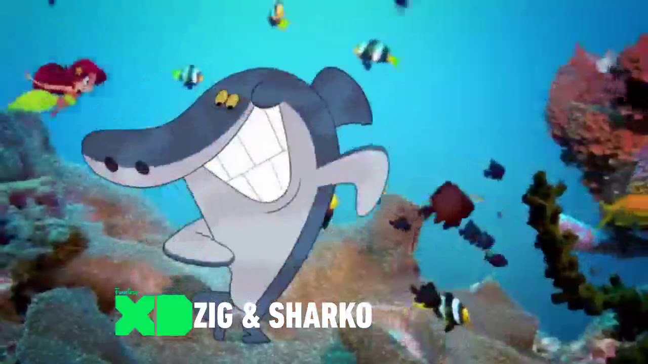 Promo "Zig & Sharko" I Funniest XD - YouTube