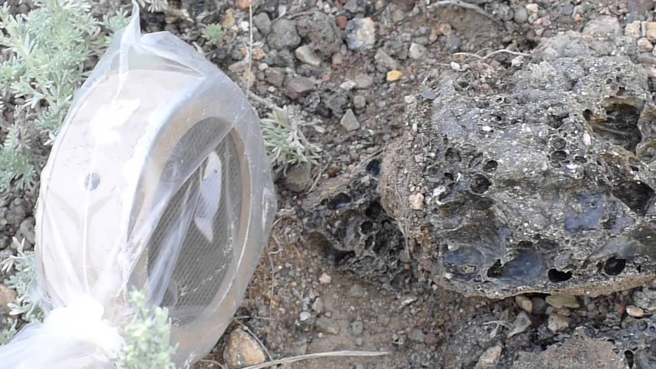 Site of the first Soviet nuclear weapon test (RDS-1) - YouTube