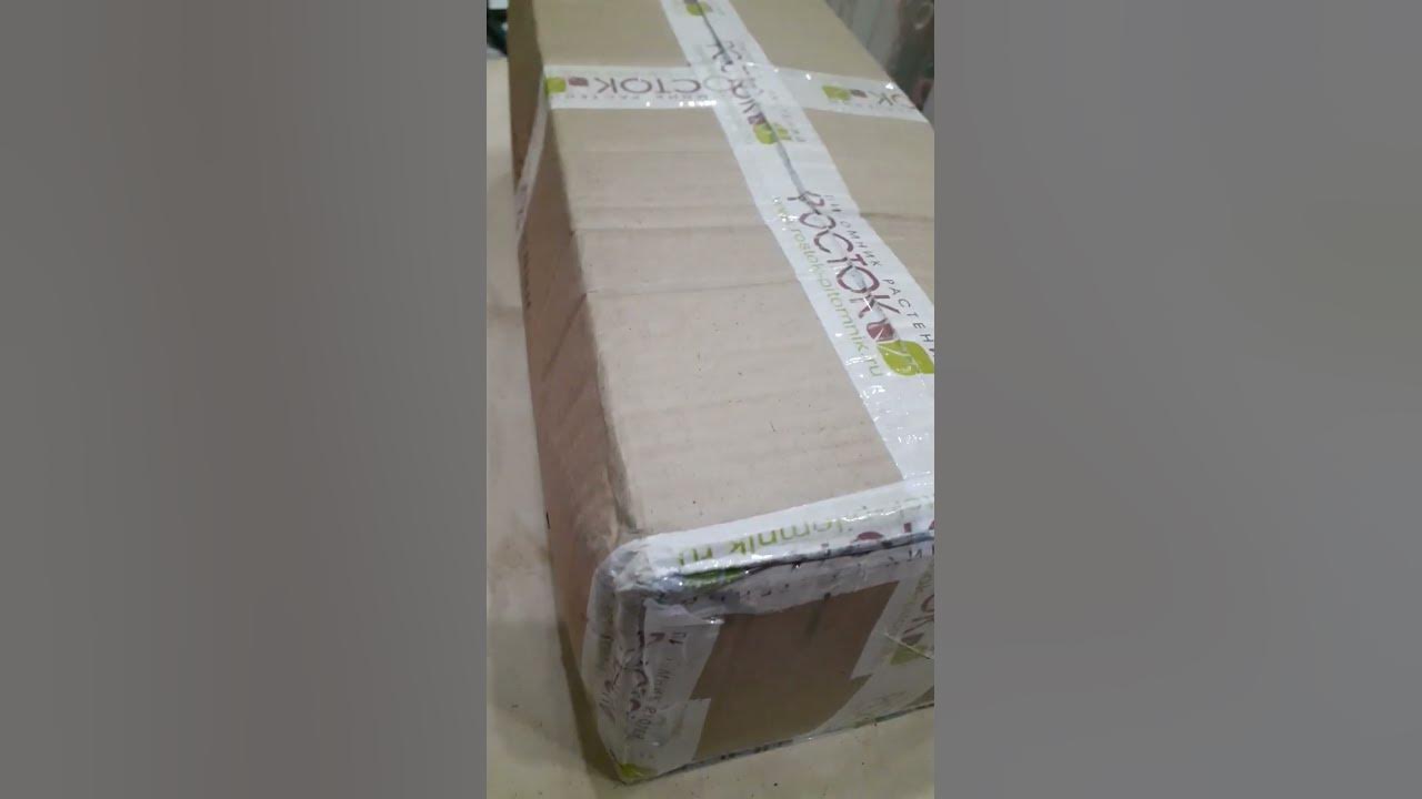 Питомник Росток Челябинск. отзыв. Распаковка. заказ от 26.09 получен 25 ...