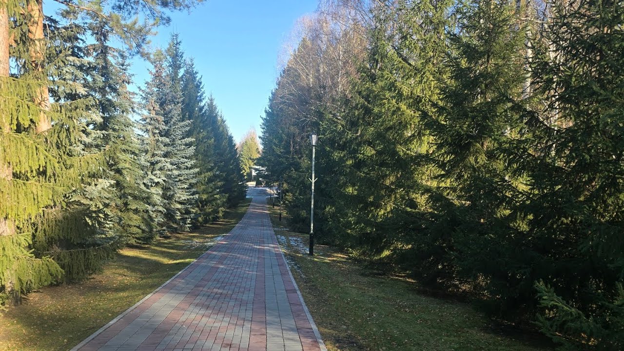 Blinken propaganda - International Flavor w/ Samuel Trapp, damradio.com ...