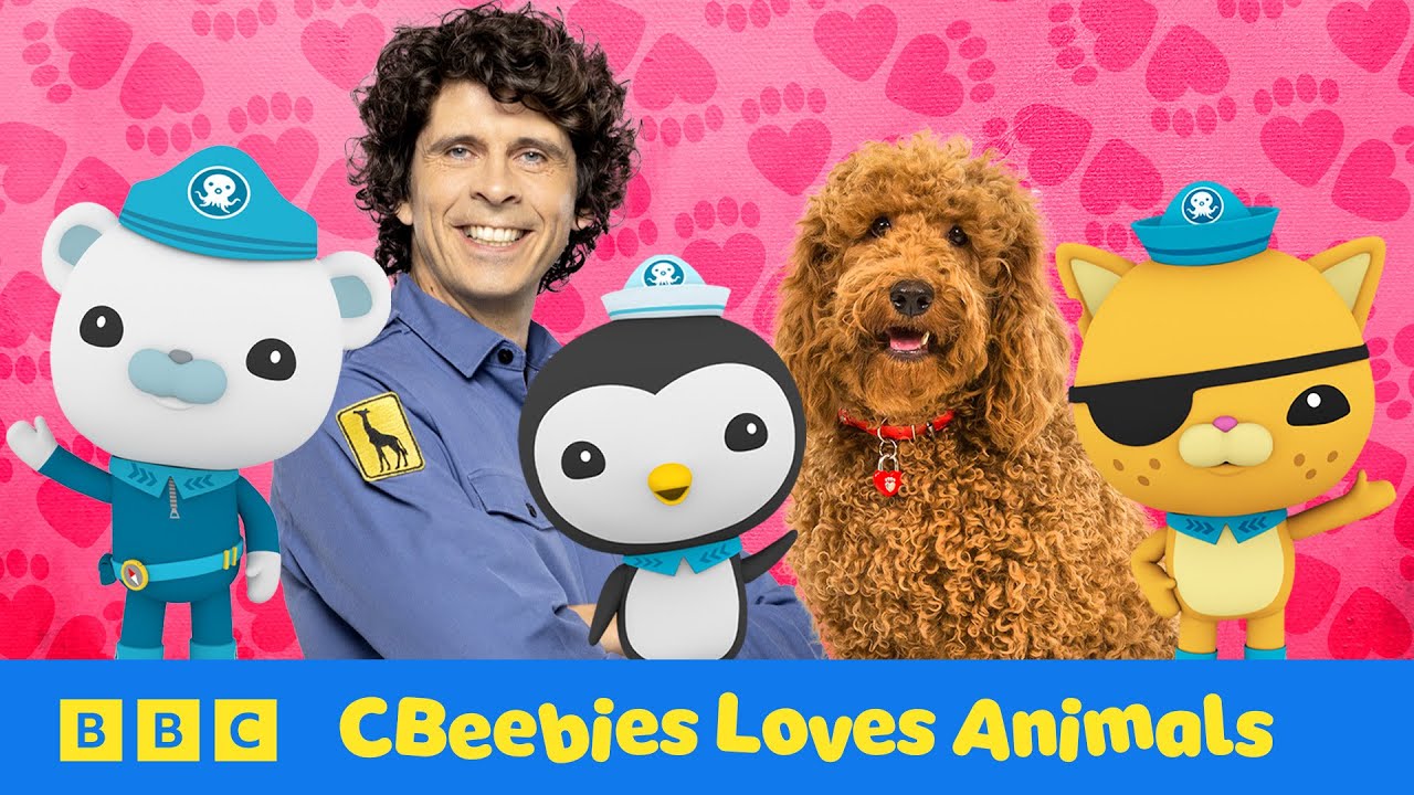 🔴 Animal Adventures with CBeebies for Toddlers and Kids 🐼🦜🐅 ...