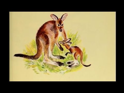 Hop Little Kangaroo, story of baby kangaroo, Baby animal story, Read ...