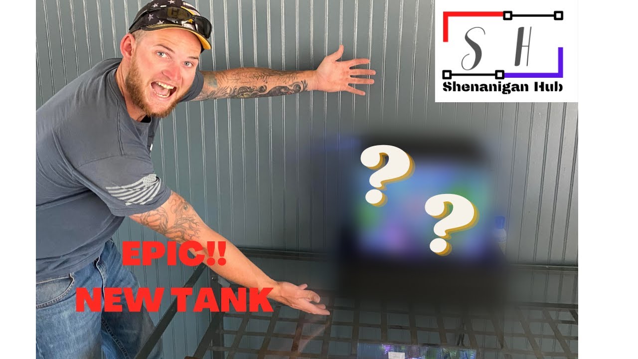 EPIC! New Infinity Edge Aquarium Set Up - YouTube