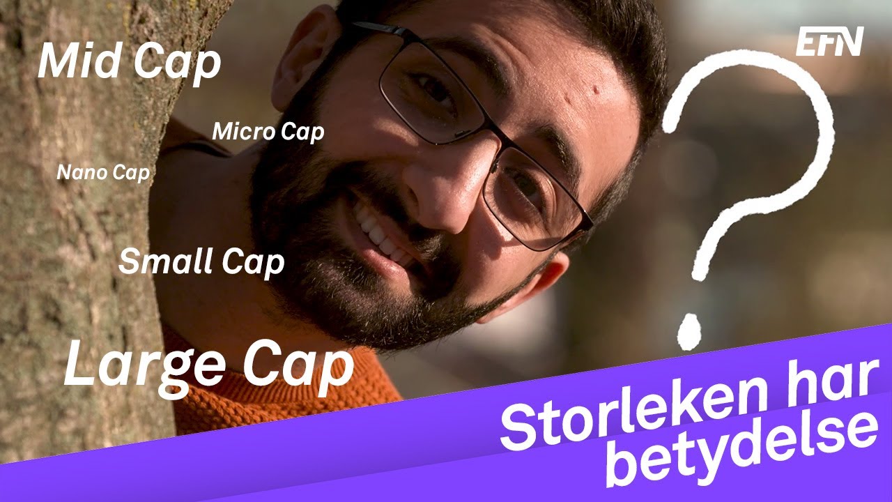 Skillnaden mellan små och stora bolag - YouTube