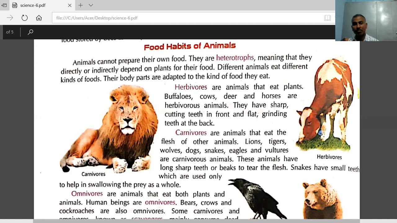 science -6 Food Its Sources and Components- part 2 - YouTube