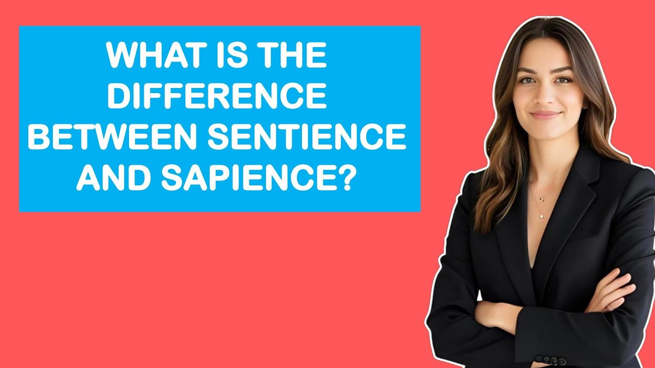 What Is The Difference Between Sentience And Sapience? - YouTube