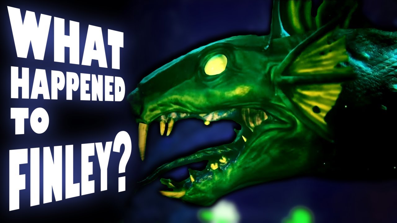 Finley looks insane... - YouTube