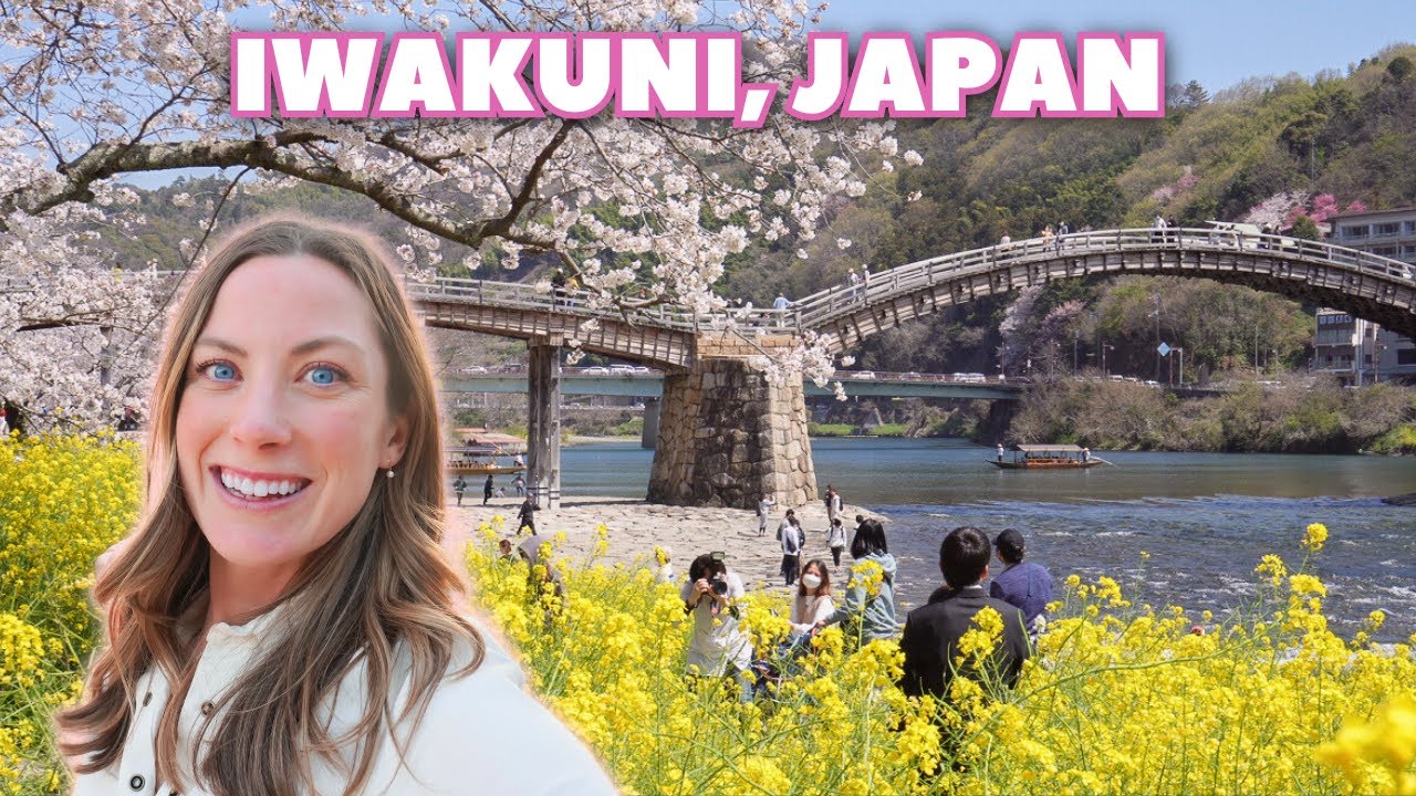 🌸cherry blossom season in the Japanese countryside 🌸 life in Iwakuni ...