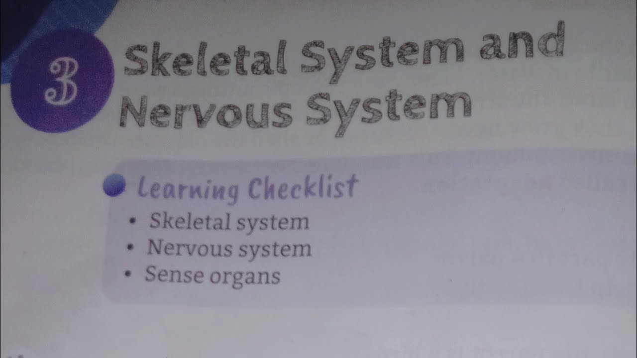 Chapter 3 "Skeletal system and Nervous system" Science class 5 from ...