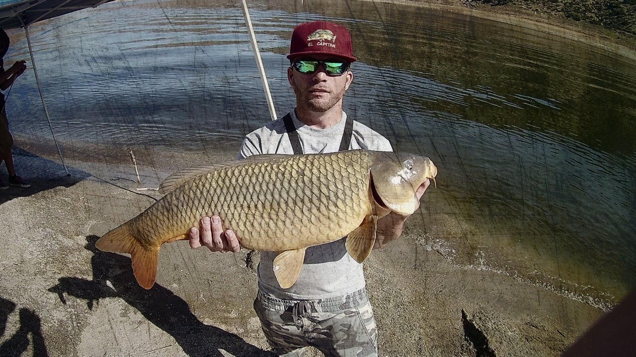 I caught my first big carp! (Epic fight) - YouTube