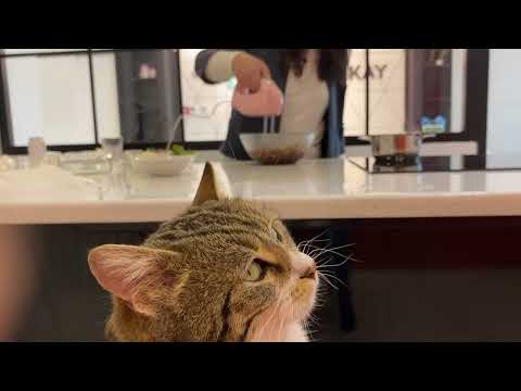 Sevgililer Günü Pastası♥️🦋🎂