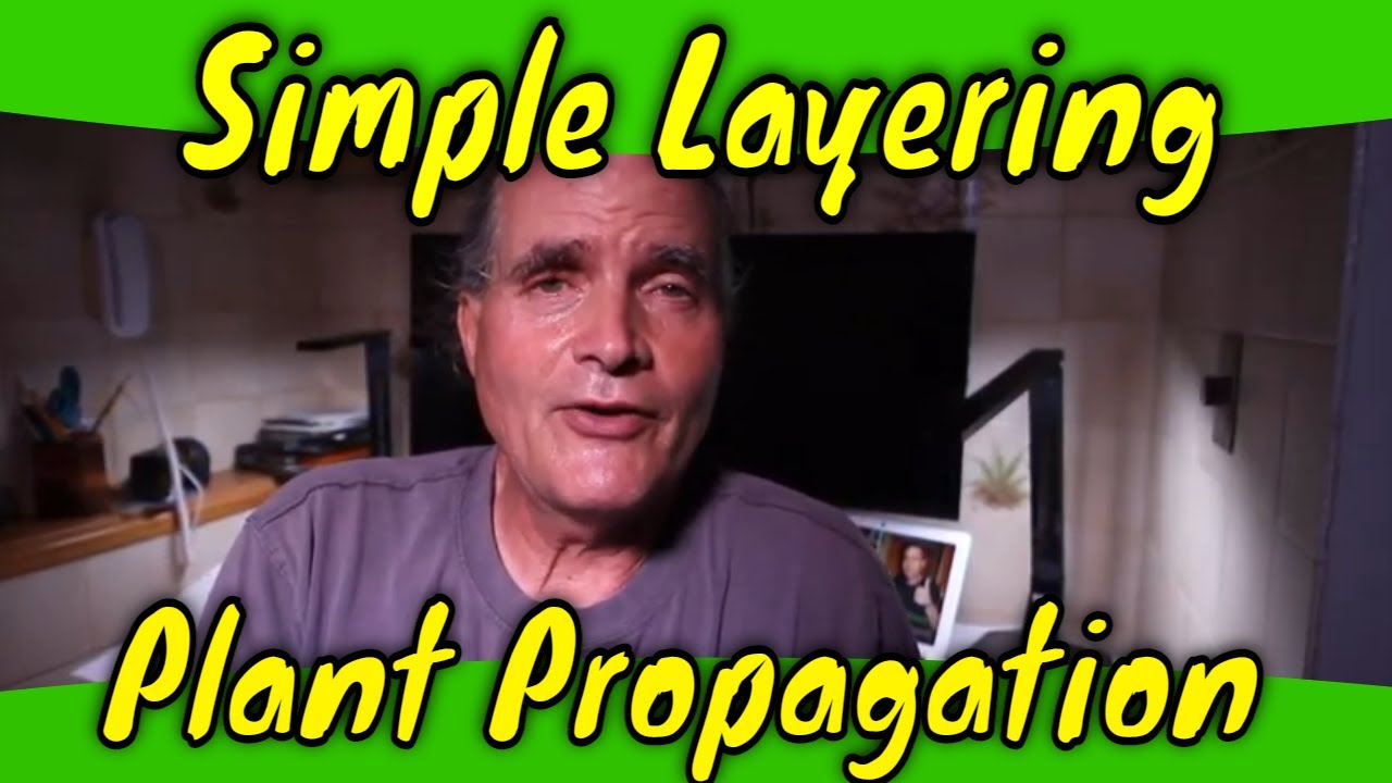 Simple Layering after Lateral Stooling Propagation - YouTube