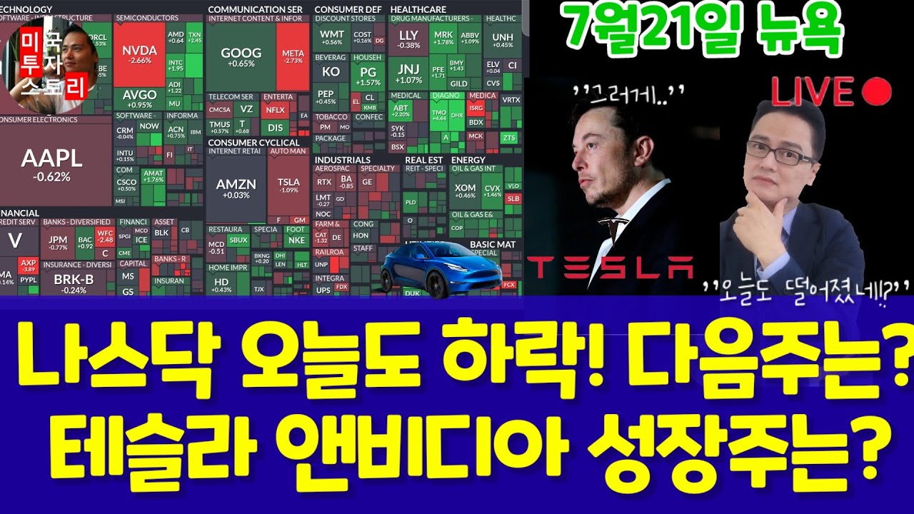 미국주식시황나스닥 왜 떨어졌나 테슬라 앤비디아는 왜 떨어졌나 구글은 왜 올랐나루시드 리비안 니오 샤오펑 애플 아마존 메타 마이크로소프트 화이자 머크 Sens등