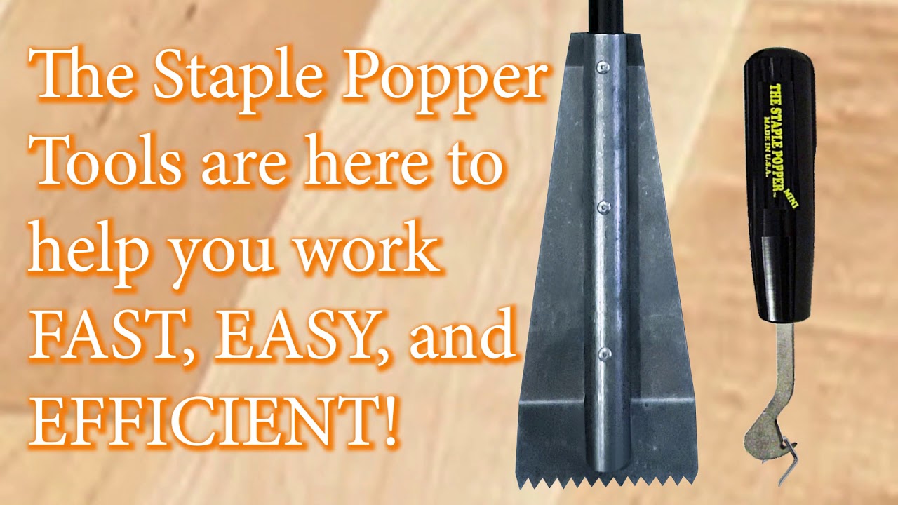 Get the Help You Need in Your Carpet Staple Removal Jobs with Staple ...