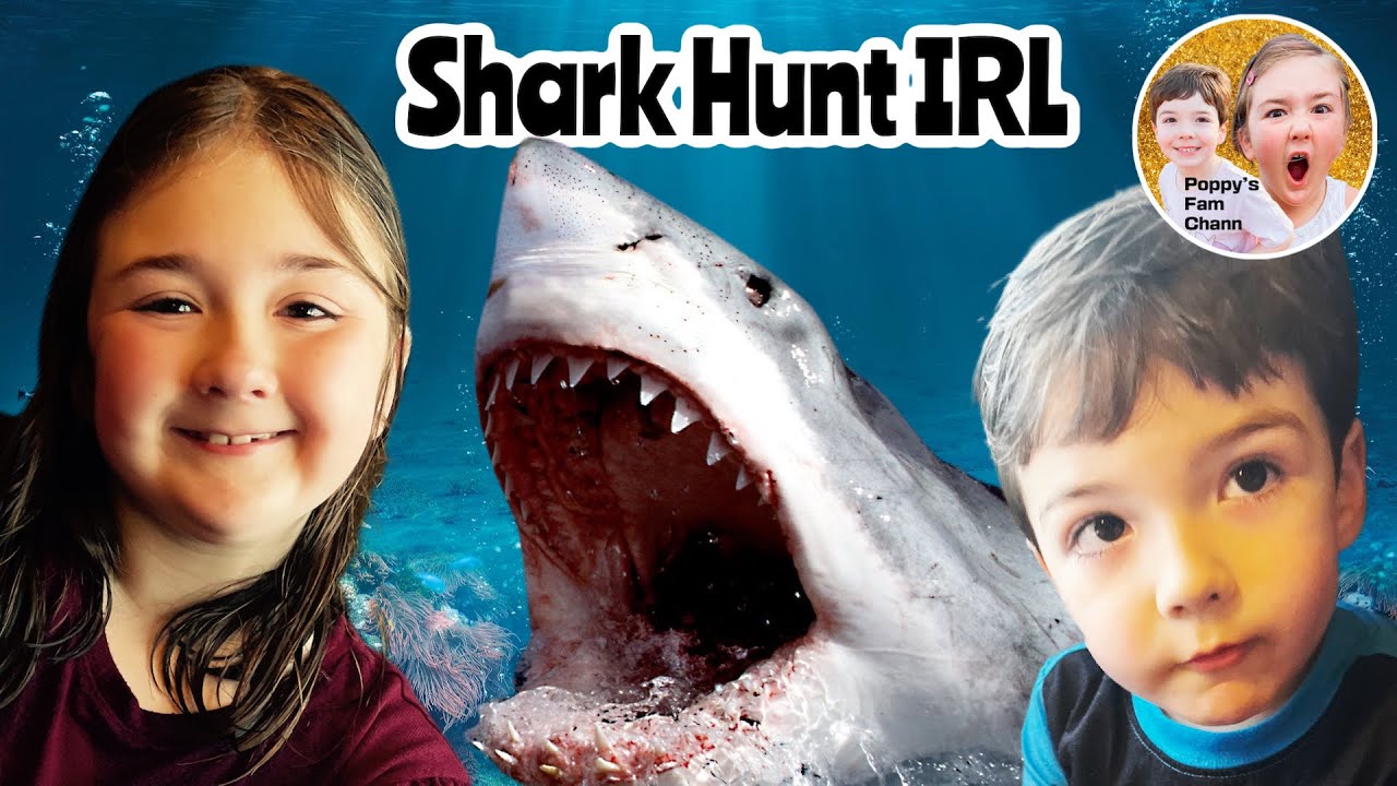 Shark Hunt IRL #shark #sharks #sharksforkids - YouTube