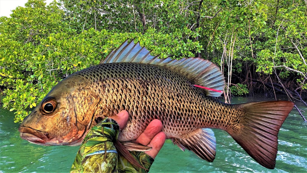 Fishing Neap Tides... How to Find the Fish - YouTube