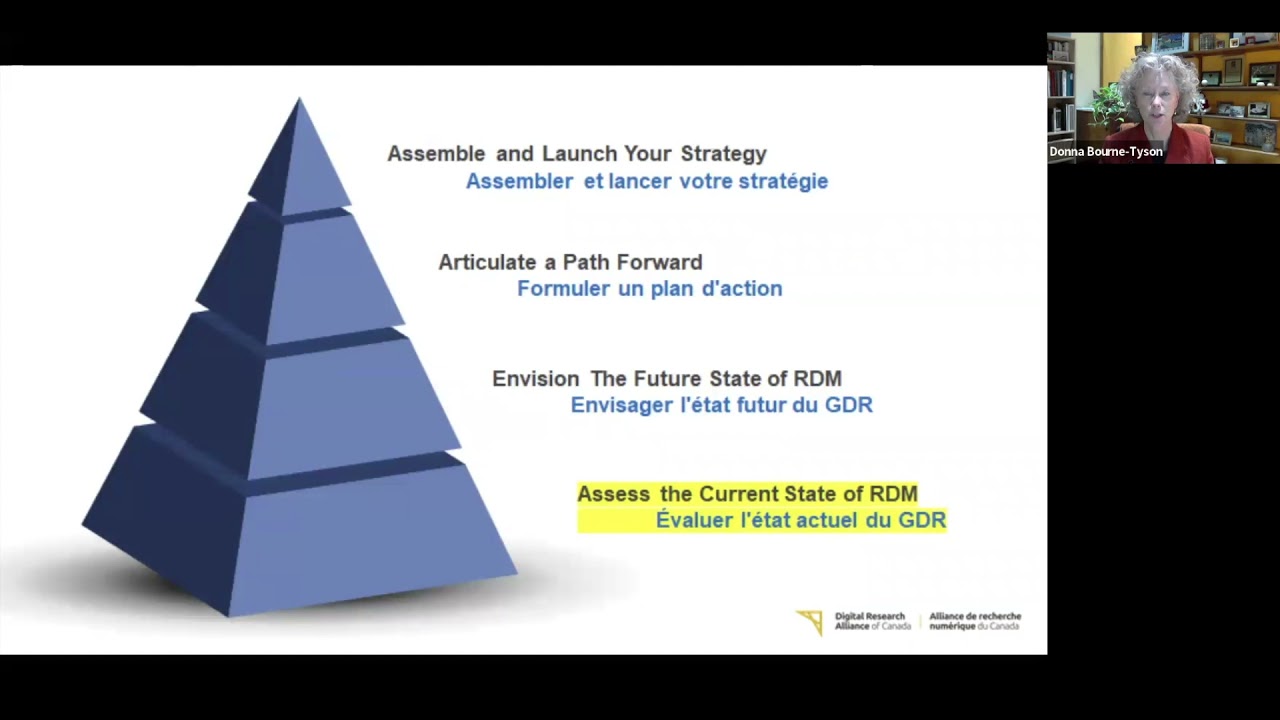Developing Institutional Strategies and Policies for Research Data ...