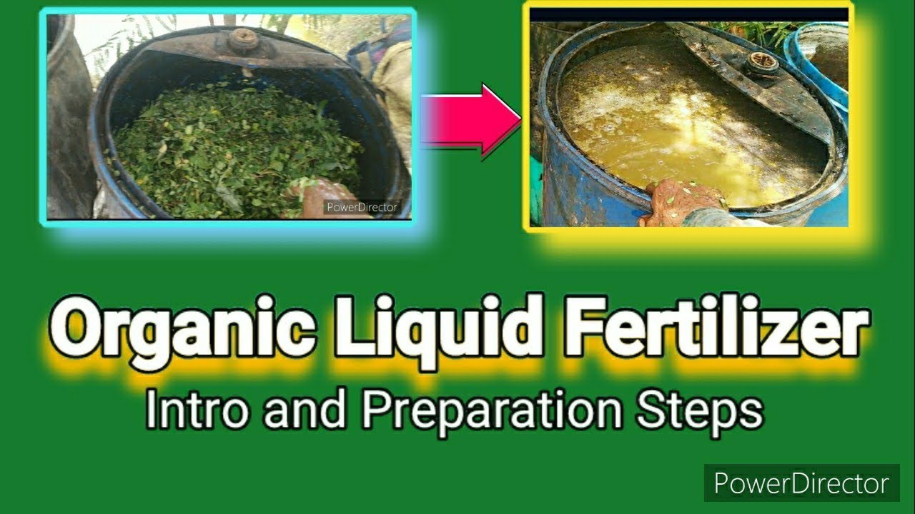 (0396) Organic Liquid fertilizer preparation steps. - YouTube