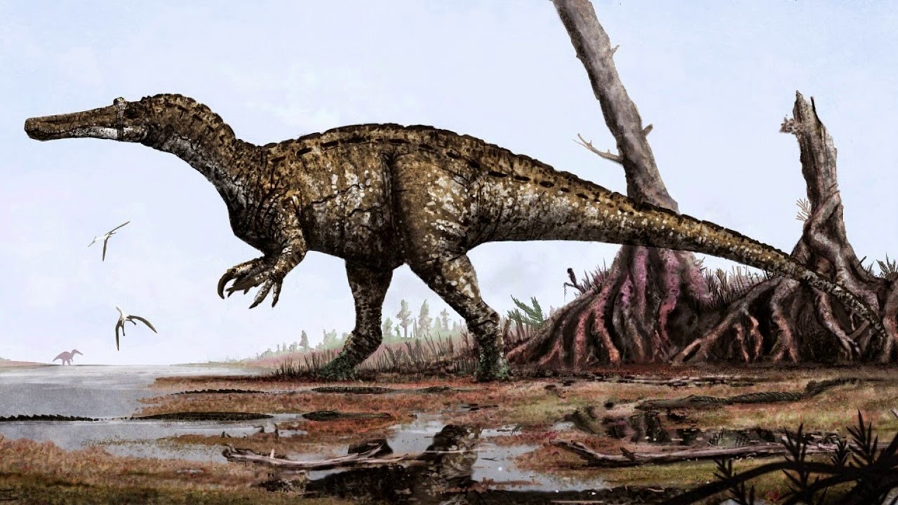 Facts About The Baryonyx - YouTube
