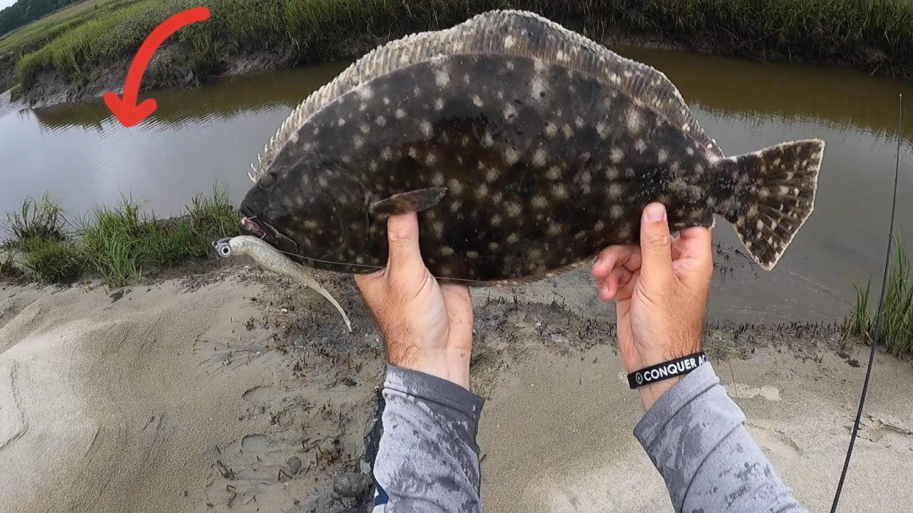Wade Fishing Tips For Catching Inshore Slams In Tidal Creeks - YouTube