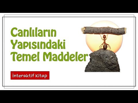 Canlıların Yapısındaki Temel Maddeler İnorganik Maddeler #sayfa14