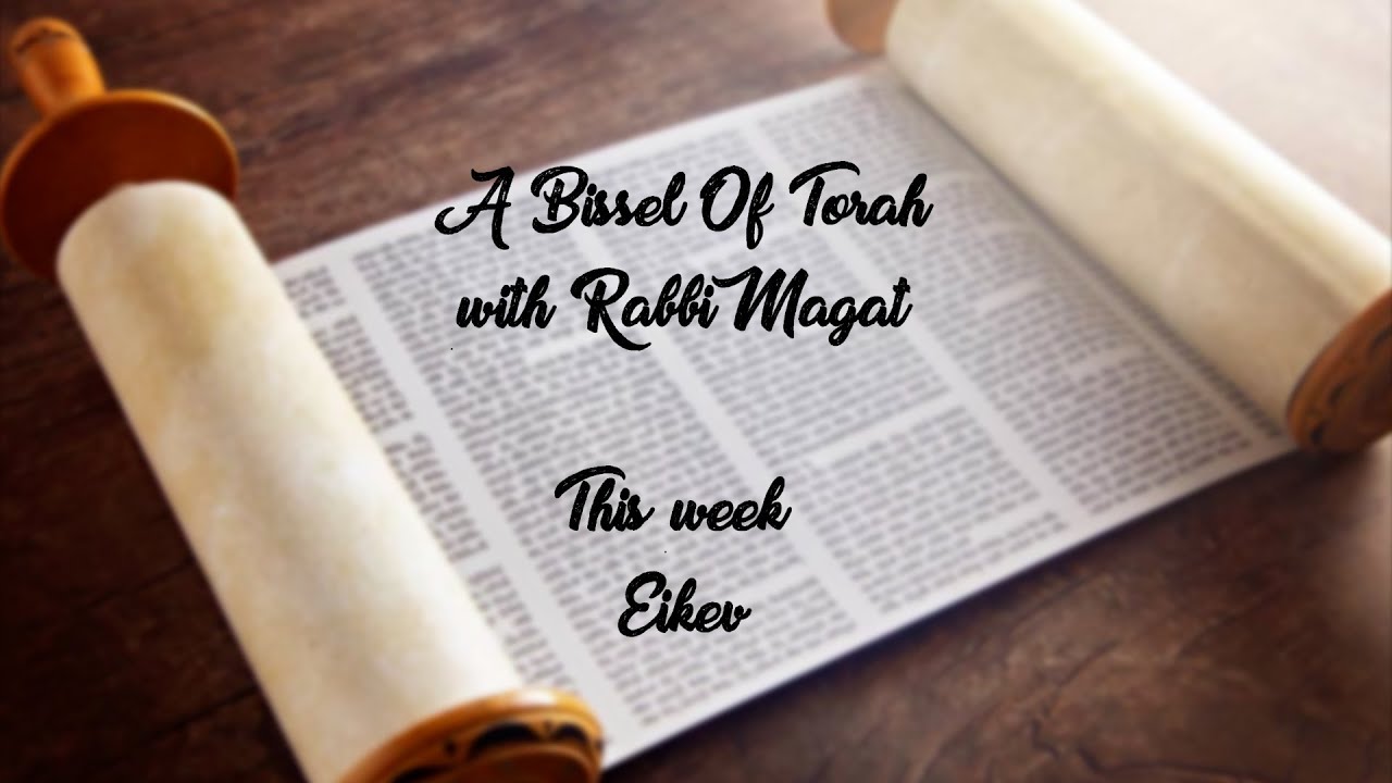 A Bissel of Torah with Rabbi Magat, Ep. 41: Eikev - YouTube