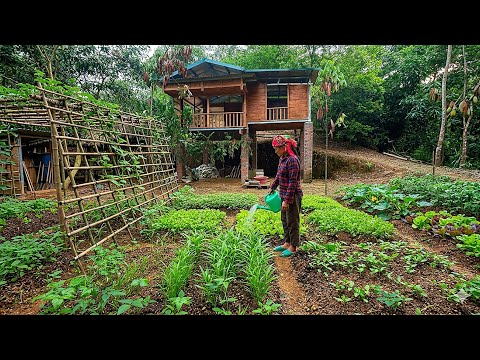 FULL VIDEO / 30 Days: Farm Renovation & Building Process (Free) | Growing - Harvesting_Lý dao dao 