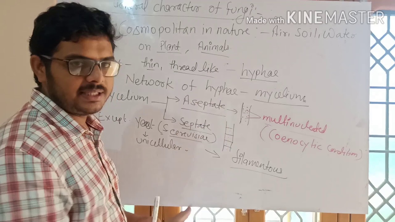 #Ainsworth System of Classification #For NEET, B.Sc. M.Sc. - YouTube