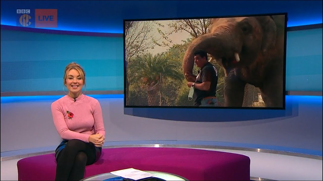 Hayley Hassall - Black Tights - 7/11/20 - YouTube